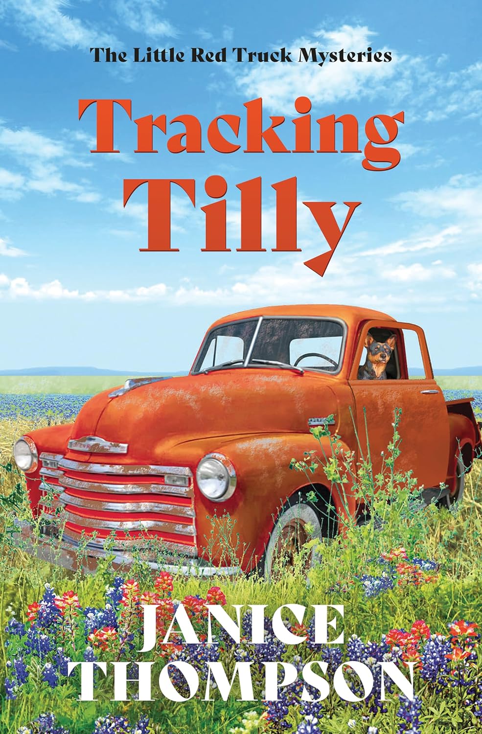 Tracking Tilly (Little Red Truck Mysteries 1): Book Review - Brodeur Writes